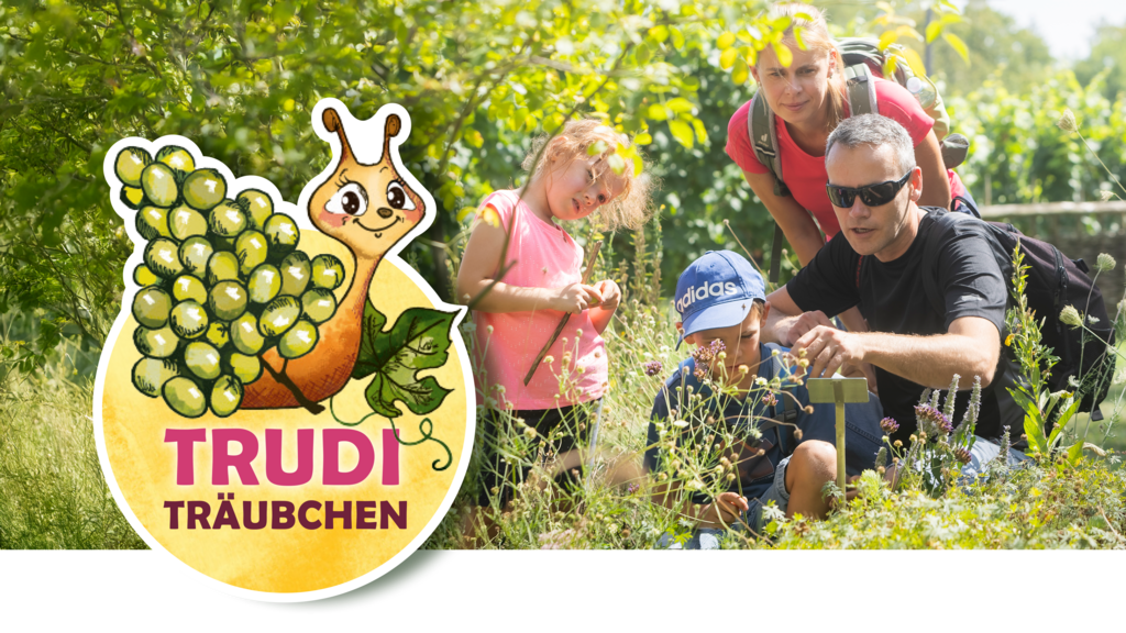 Radebeul Reiseführer – Karl-May-Stadt & Weinparadies