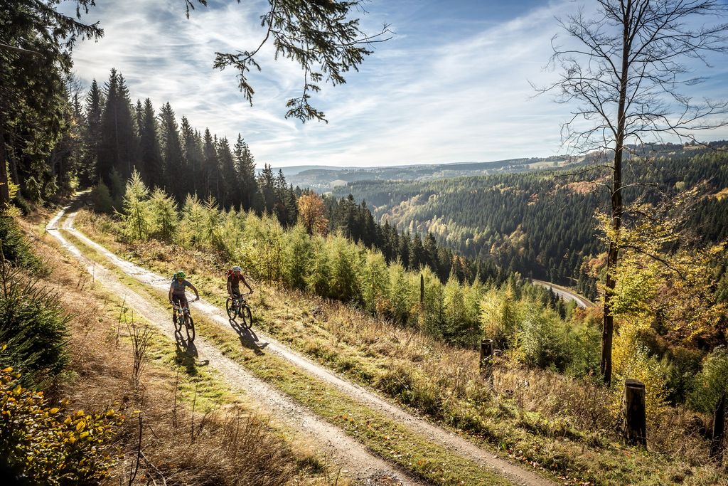 Trailcenter Rabenberg in Sachsen: Deutschlands erster Singletrail-Park