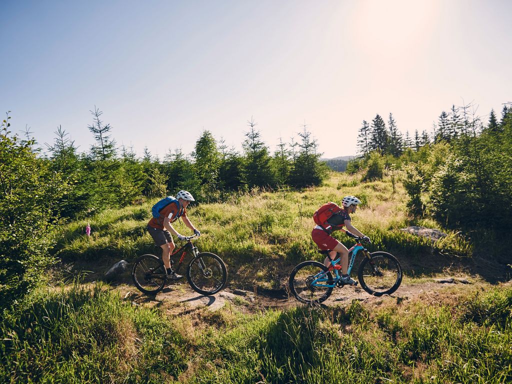 Trailcenter Rabenberg in Sachsen: Deutschlands erster Singletrail-Park